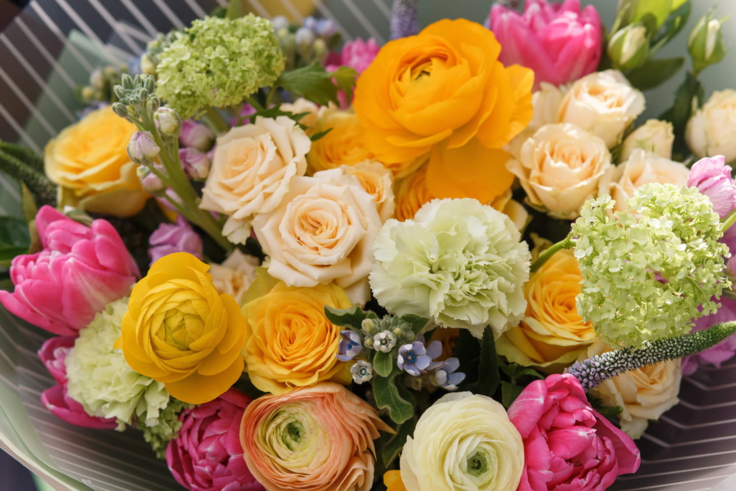 The Rainbow of Flowers Available in April