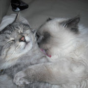 Ukrainian Regional Centers and Zip Codes | Ukraine Gift Delivery Guide